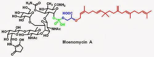 抗生素的介紹 Part III 之二：Moenomycin A - 科學，就是醬